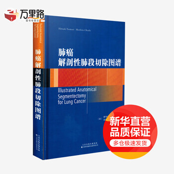 肺癌 解剖性肺段切除图谱