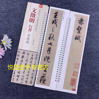 文徵明行书赤壁赋 经典碑帖近距离临摹卡 文征明行书字帖近距离练习字卡全文无删减