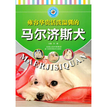 雍容华贵活泼温训的:马尔济斯犬