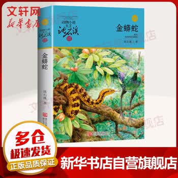 金蟒蛇 升级版 动物小说大王沈石溪品藏书系