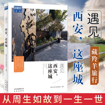 遇见这座城系列 西安 /北京/上海/杭州/苏州/南京/大理/成都/重庆 周生如故 热门旅游城市书籍 美食美景 遇见西安