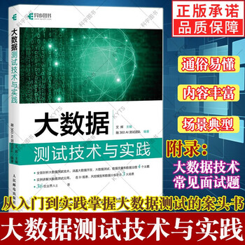 大数据技术与实践（全彩印刷）从入门到实践掌握大数据的案头书 通俗易懂 内容丰富RT