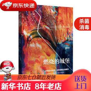 燃烧的城堡 赵大河 河南文艺出版社