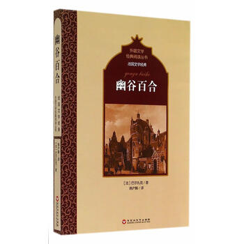 文学经典：幽谷百合小说长篇小说代 图书