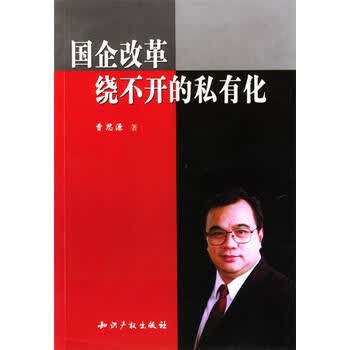 国企改革，绕不开的私有化 曹思源