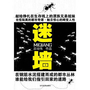 迷墙【正版图书】