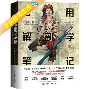 艺用解剖学笔记 艺术绘画理论人体结构素描教程 石政贤韩国 李哲 一看就会的人体结构说明书