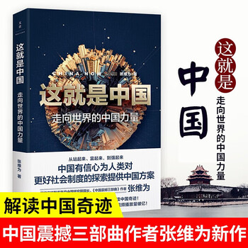 这就是中国:走向世界的中国力量 张维为著
