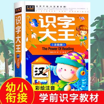 识字大王 幼儿识字书学前启蒙图书幼儿园大班学前班幼小衔接教育早教书书籍卡片2-3-4-5-6摩比爱识字卡