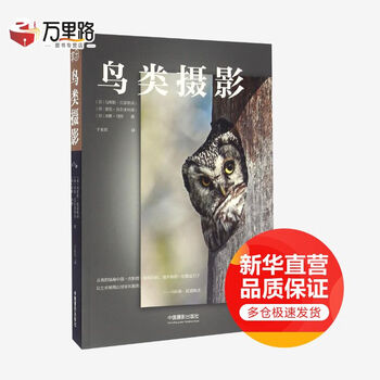 鸟类摄影