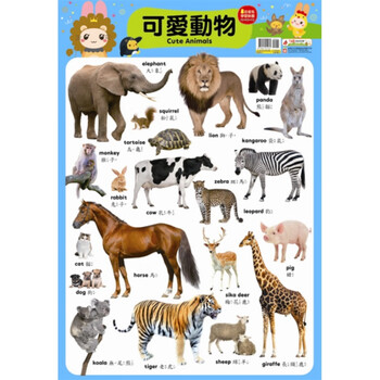 现货正版 忍者兔学习挂图：可爱动物 17 幼福编辑部 幼福 进口原版