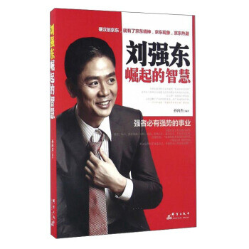 刘强东崛起的智慧 孙向杰