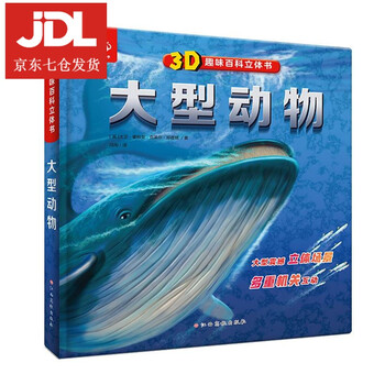 大型动物