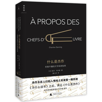 正版库存书9品新 什么是杰作: 拒绝平庸的文学阅读指南 著者：[法] 夏尔丹齐格,译者：揭小勇 广西