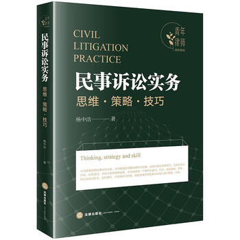 民事诉讼实务思维·策略·技巧 杨中洁 著【正版书】