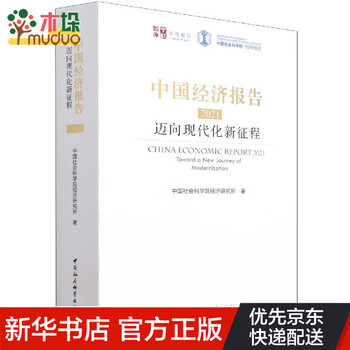 中国经济报告(2021迈向现代化新征程)/中社智库年度报告