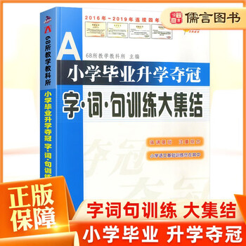 小学毕业升学夺冠字词句训练大集结 小学小升初语文基础知识大全资料包运用好字好词好句好段专项训练辅导资