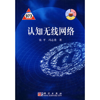 认知无线网络
