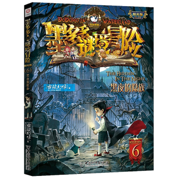 查理里九世原版9世墨多多谜境冒险阳光板全套15册迷境秘境冒险探险书墨多多全册查理里九世单册29本季小 墨多多谜境冒险阳光版6 黑夜的隐族