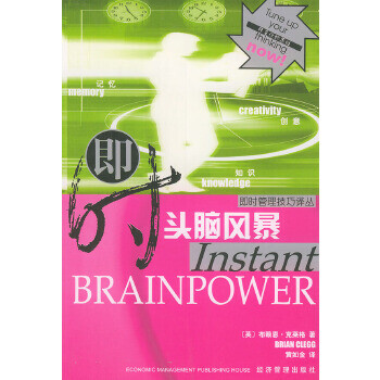 即时头脑风暴—即时管理技巧译丛