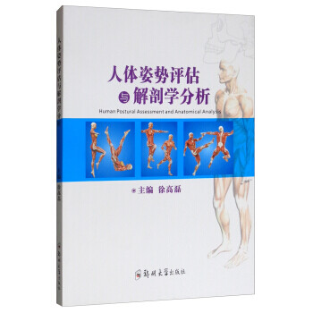 人体姿势评估与解剖学分析