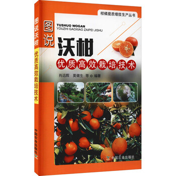 图说沃柑优质高效栽培技术