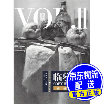 临摹宝2 素描静物