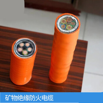 定制雷迪辉 电缆 矿物质电缆 电缆NG-ABTLY BTTZ电缆 NG-A BTLY 5*4【图片 价格 品牌 报价】-京东