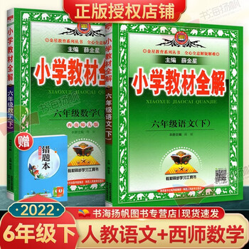 可选】小学教材全解六年级教材解读 下册 人教语文+西师数学2本 薛金星课本同步辅导资料书部编版