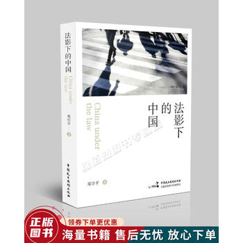 法影下的中国