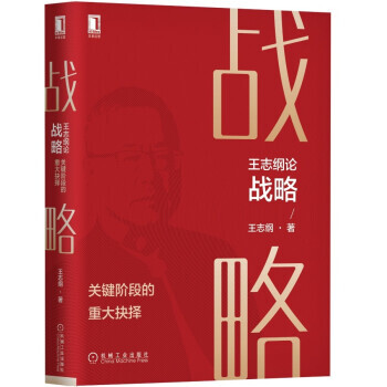 王志纲论战略-关键阶段的重大抉择9787111688068