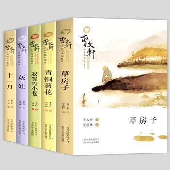 曹文轩的书共5册 草房子青铜葵花寂寞的小巷灰娃十一月小学生课外阅读书籍曹文轩小说集阅读与鉴赏