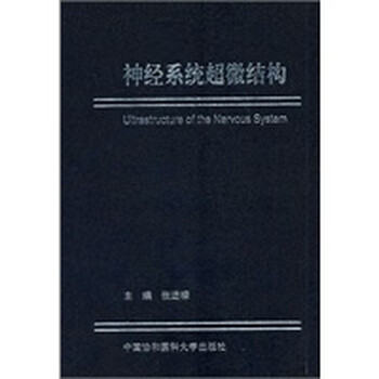 神经系统超微结构