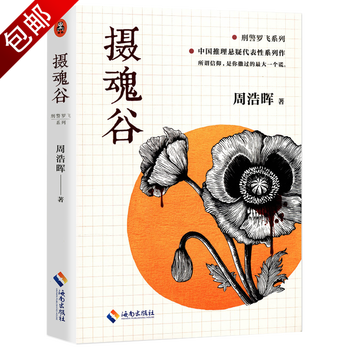 悬疑推理小说 摄魂谷（定价39.9）