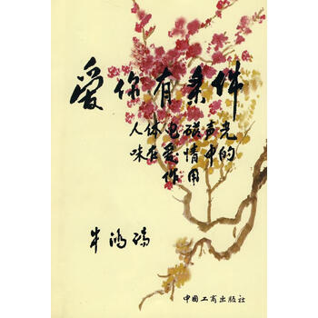 爱你有条件 牛鸿瑞　著
