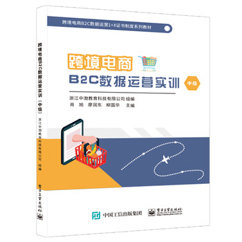 跨境电商B2C数据运营实训（中级）