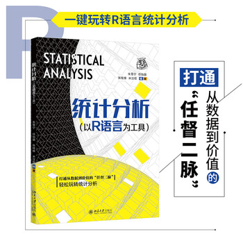 统计分析：以R语言为工具 朱雪宁 等  书籍