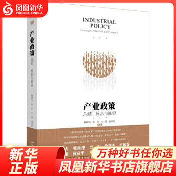 产业政策 总结、反思与展望
