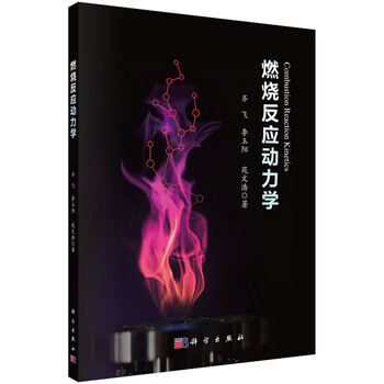 燃烧反应动力学/齐飞,李玉阳,苑文浩