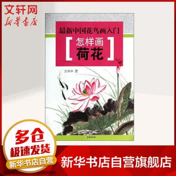 怎样画荷花