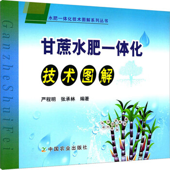 甘蔗水肥一体化技术图解