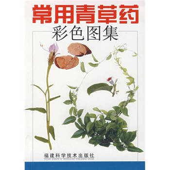 常用青草药彩色图集 赵秀贞