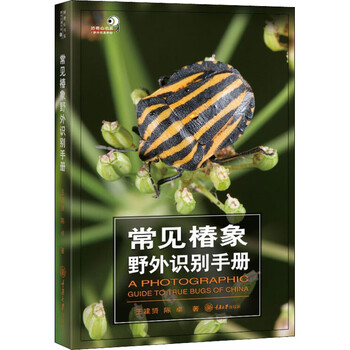 常见椿象野外识别手册 图书