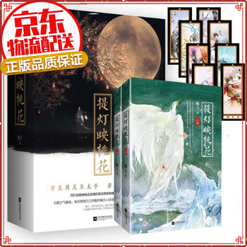 正版 提灯映桃花上下册 无删减版完结 破云作者淮上 古代古风武侠玄幻言情小说 双男主青春文学小说