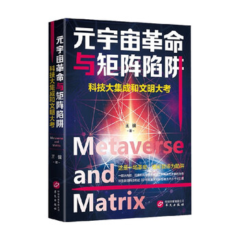元宇宙革命与矩阵陷阱 王骥 著 社会科学