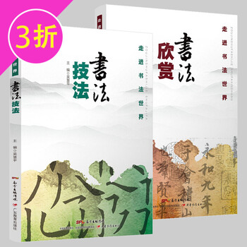 【3折】中国书法大全图书籍 走进书法世界： 书法技法+书法欣赏(共2册) 定价87