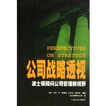 公司战略透视波士顿顾问公司管理新视野
