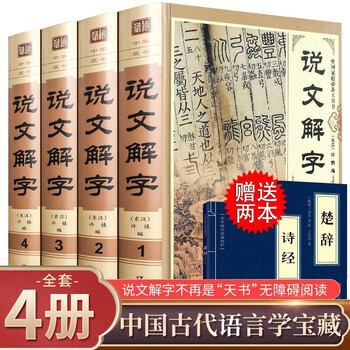 正版 说文解字原版 许慎著正版全版 全今释图解540部首篆书字注解 大字本说文解字注段玉裁注中华书局