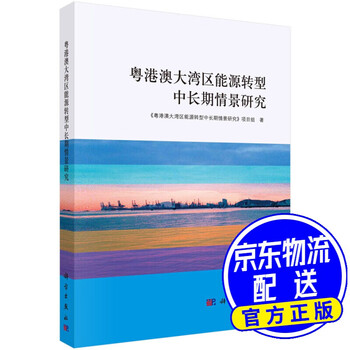 粤港澳大湾区能源转型中长期情景研究