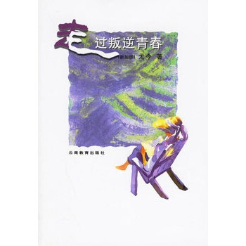 走过叛逆的青春【正版图书】